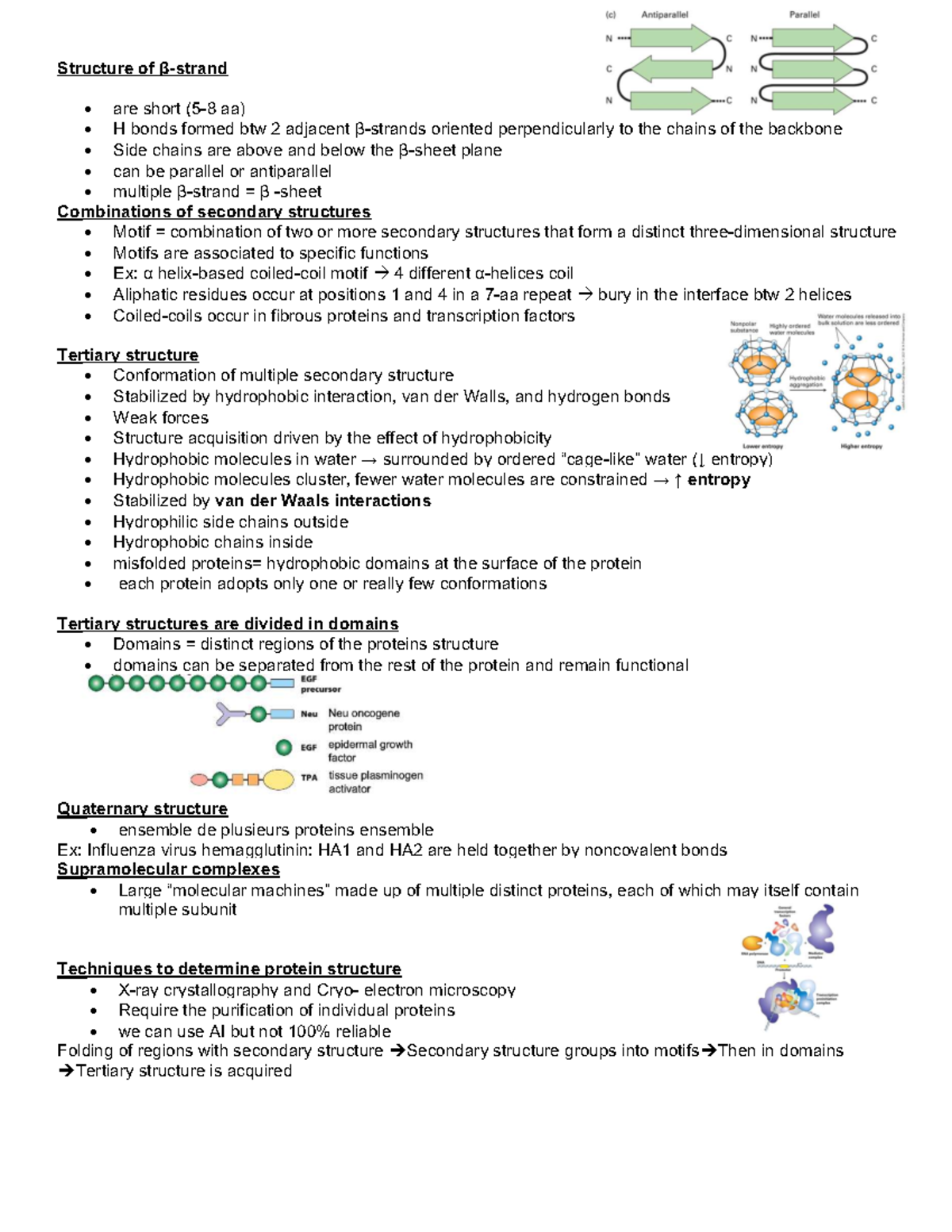 BIOL200 - Notes on Protein Structure: Secondary to Quaternary - Studocu
