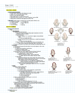 EFM Case Study SU-2 Student Version - Electronic Fetal Heart Monitoring Case Studies Name ...