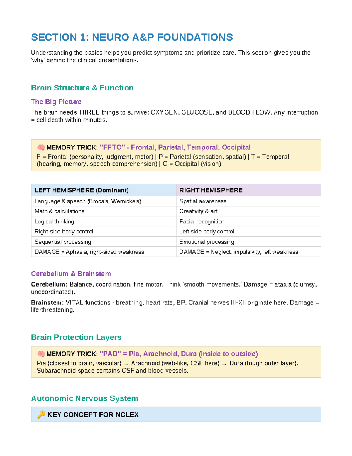 Neuro Foundations: Understanding Brain Structure & Function for NCLEX ...