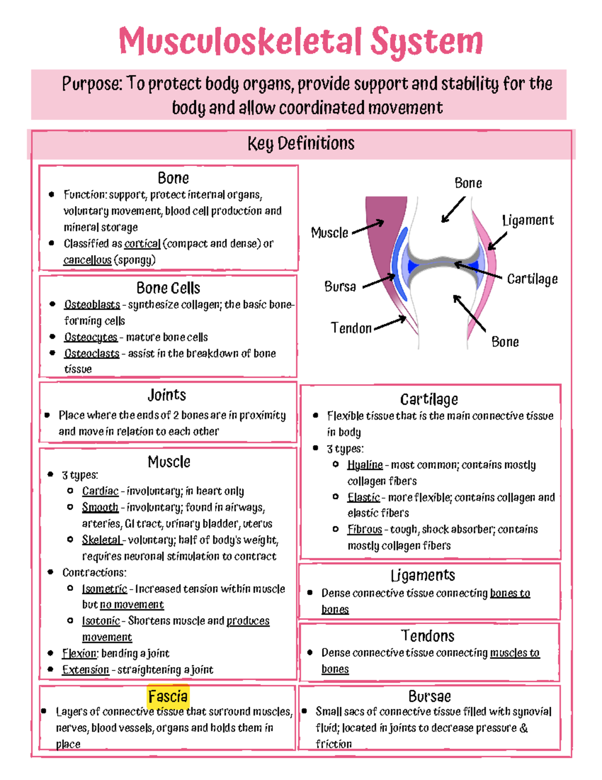 Musculoskeletal System Notes for Nursing (Course Code: NUR101) - Studocu