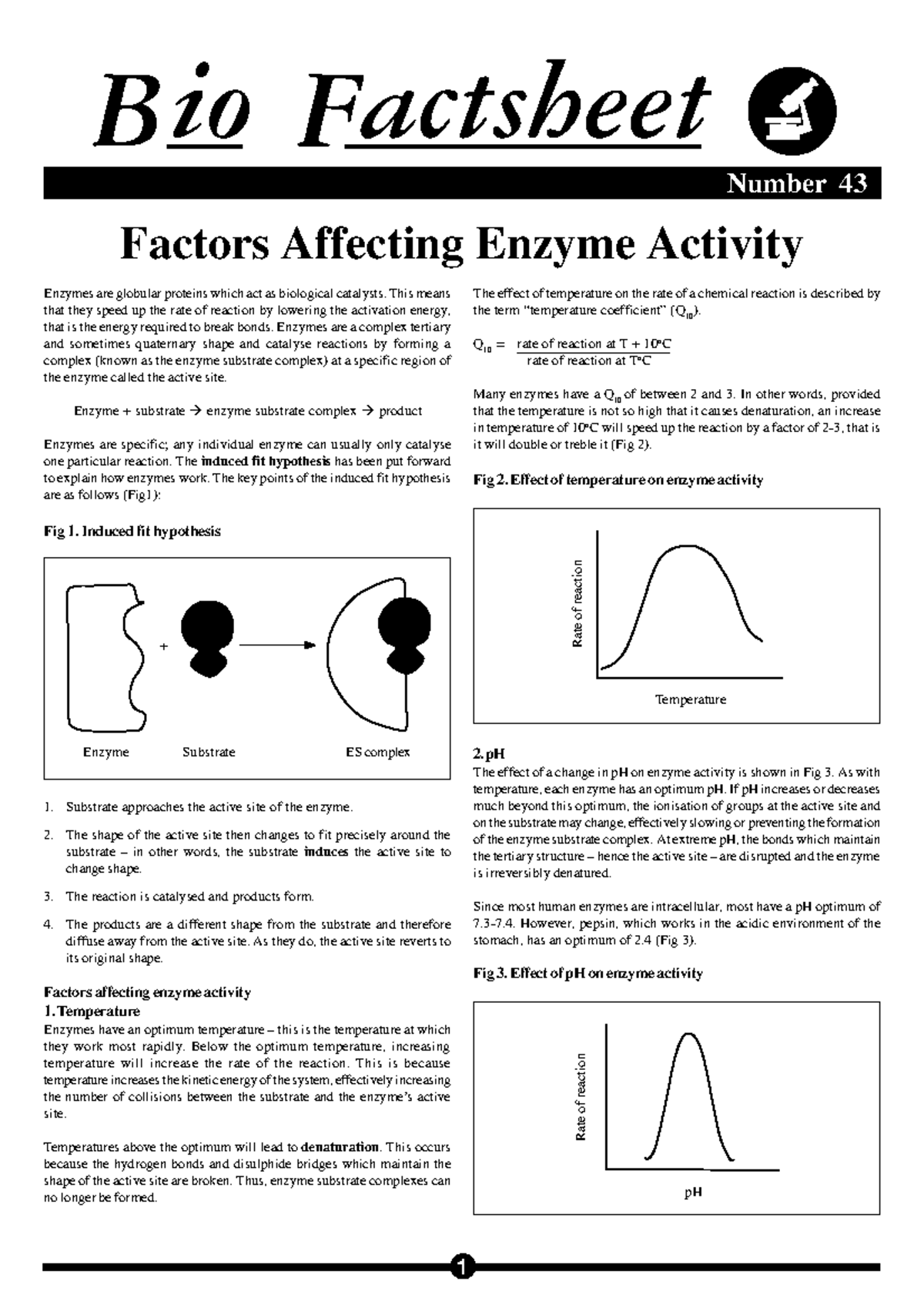Factors Affecting Enzyme Activity - Bio Enzymes FS Factsheet - Studocu