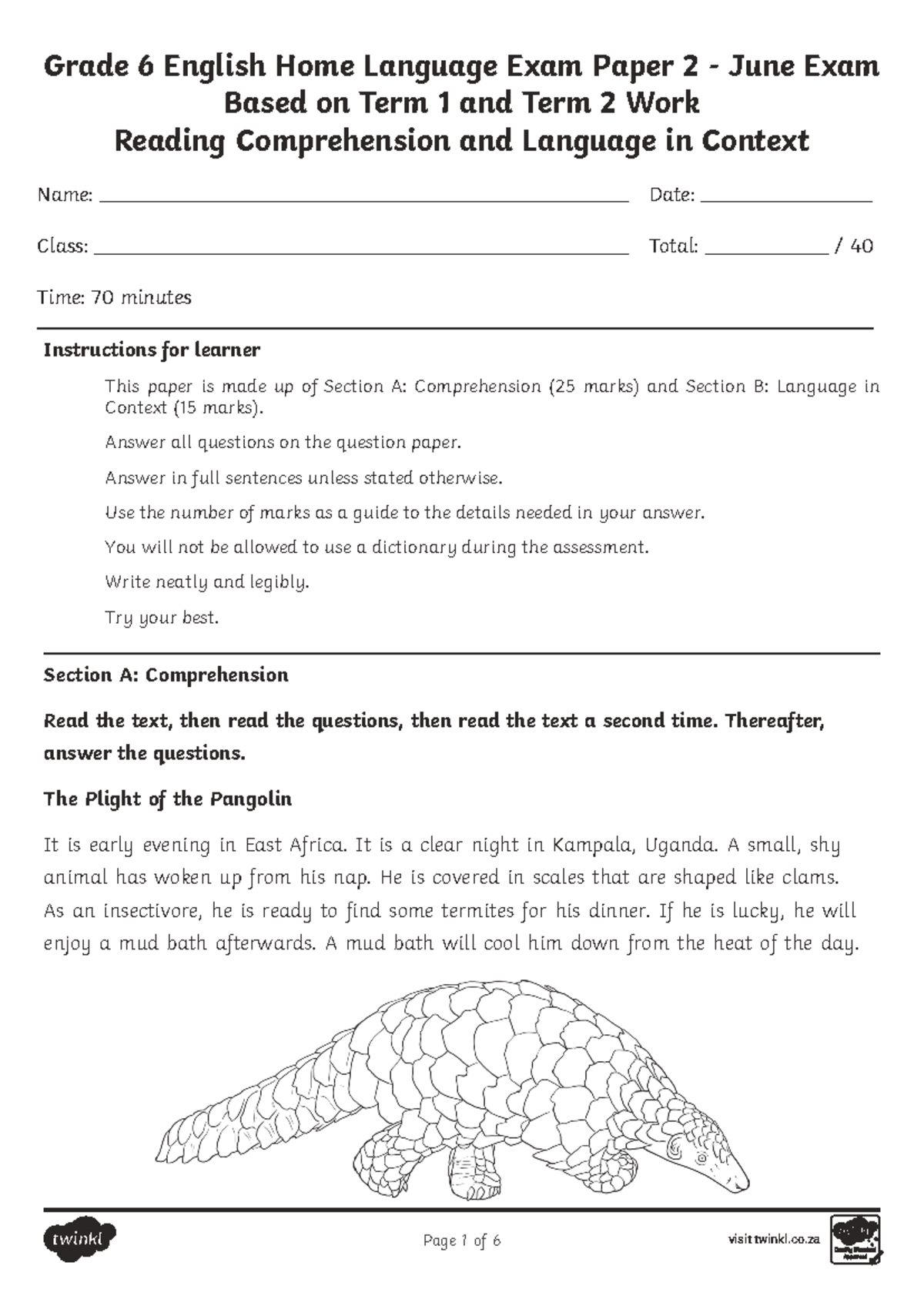 Grade 6 English HL Exam Paper 2: June Comprehension & Language Test ...