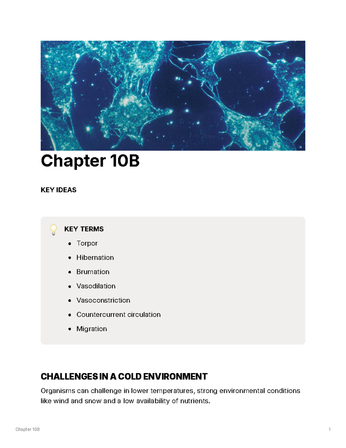 Adaptations in Cold Environments - Chapter 10B Insights - Studocu