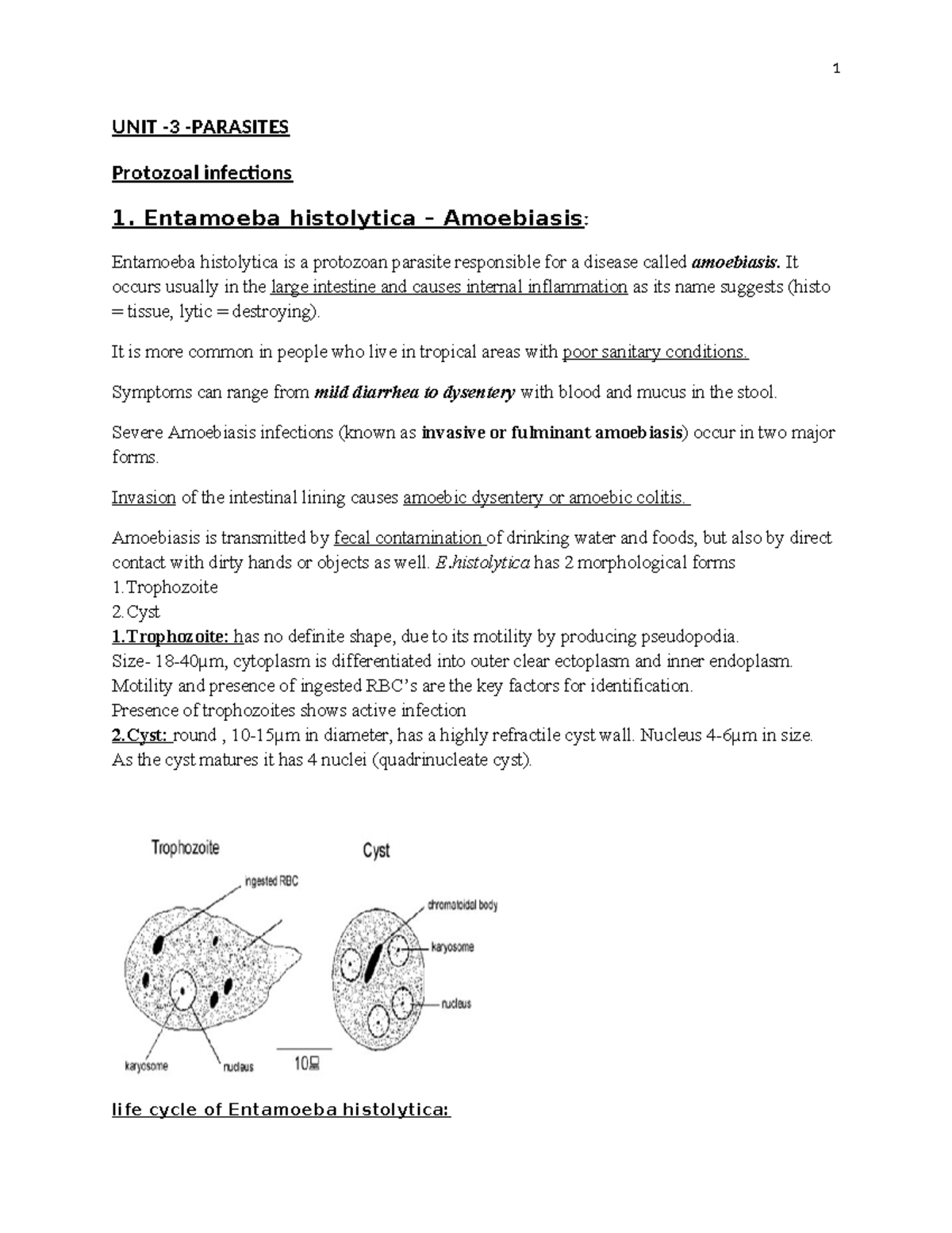 Microbiology Unit 3: Study Notes on Protozoal & Helminth Parasites ...