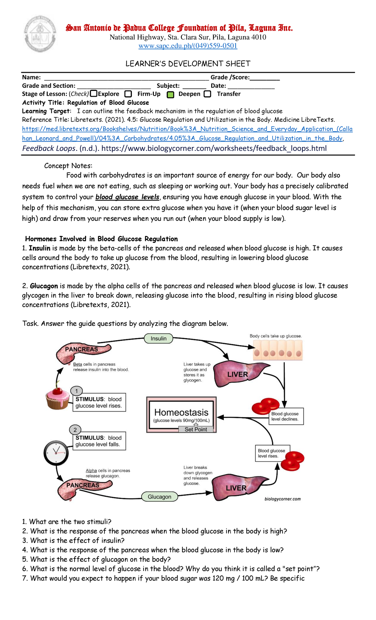GB2-LDS3 - Blood Glucose Regulation: Feedback Mechanisms Study Guide ...