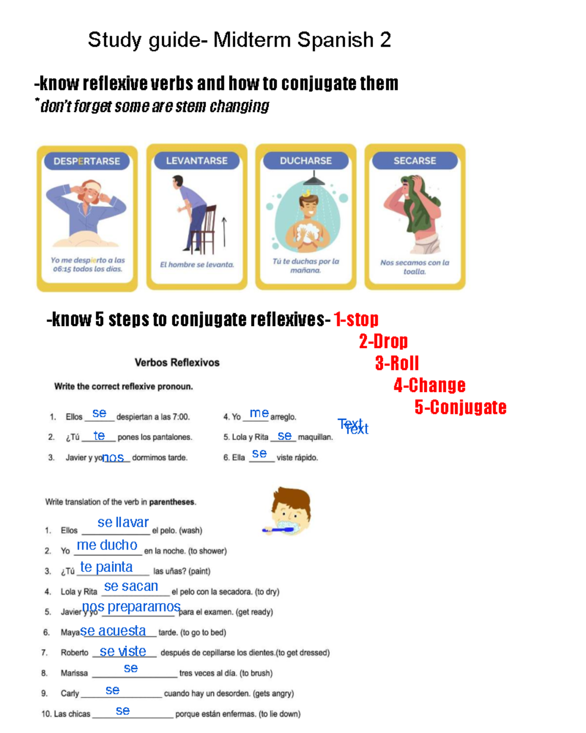 Spanish 2 Midterm Study Guide: Reflexive Verbs & Conjugation - Studocu