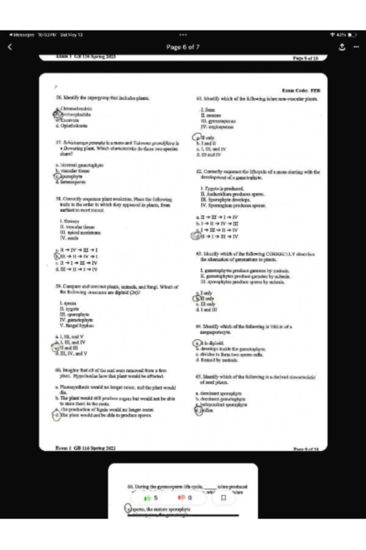 Exam 1 Review: Bio 116 - Key Concepts on Fungi & Eukaryotic Life - Studocu