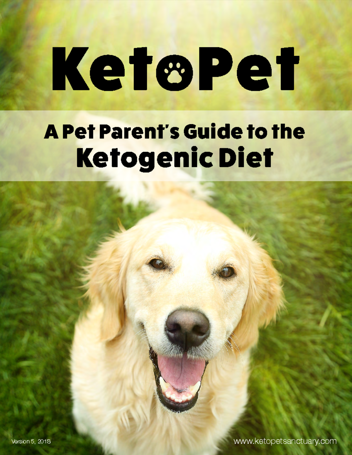 Keto Pet e Book 2019 pdf - ketopetsanctuary A Pet Parent's Guide to the ...