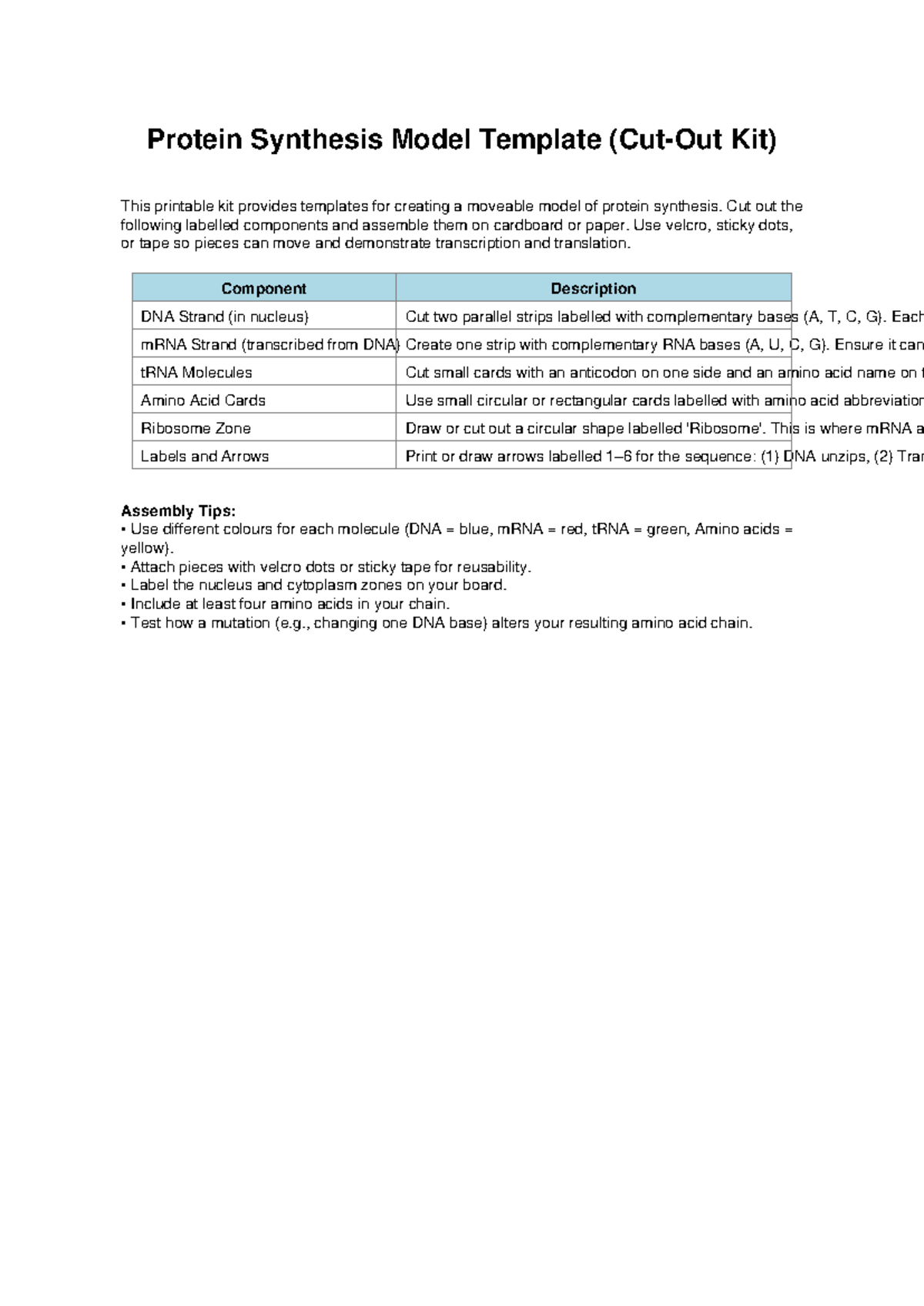 Protein Synthesis Model Kit (Bio 101) - Transcription & Translation ...