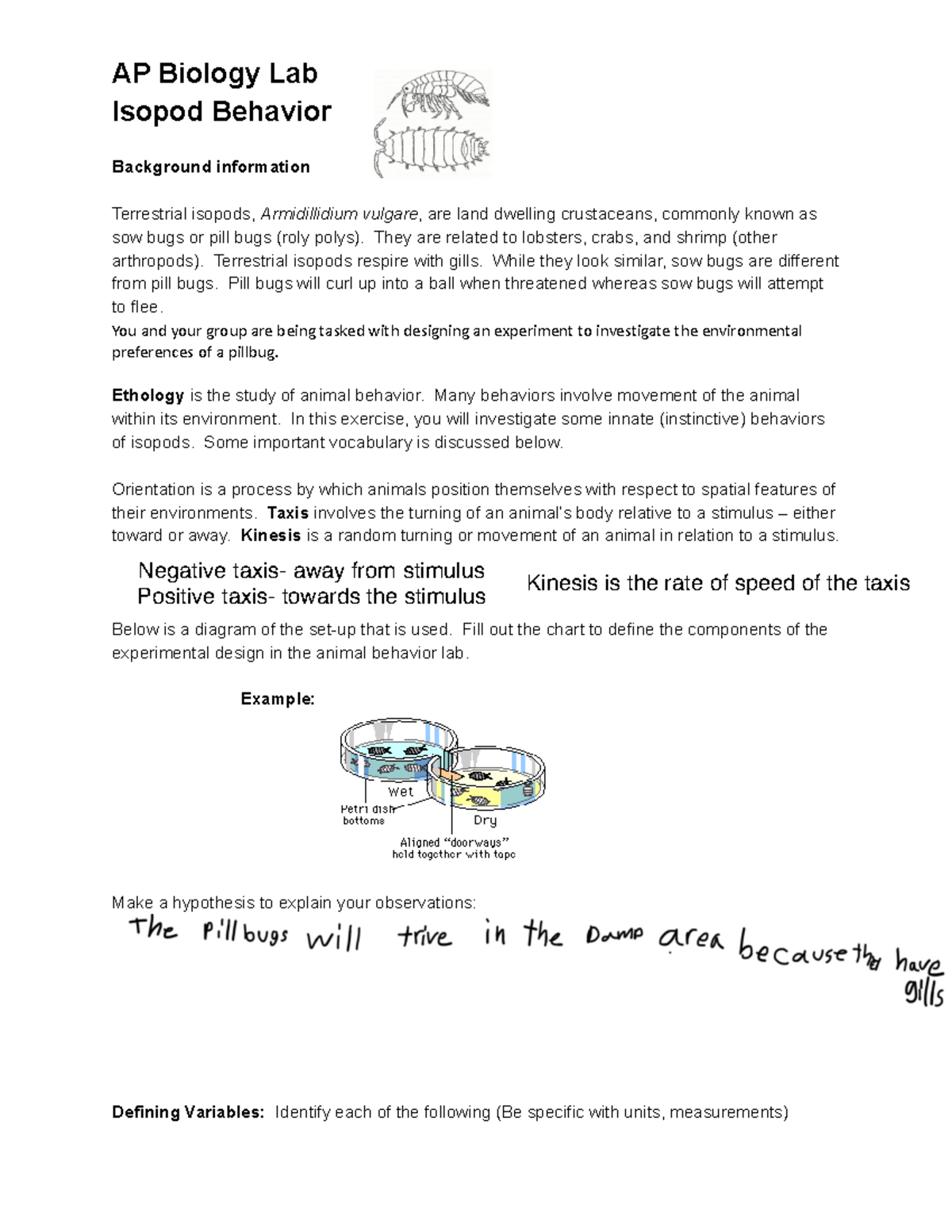 Pill Bug Behavior Lab Report (AP Bio - 22-23) - Studocu