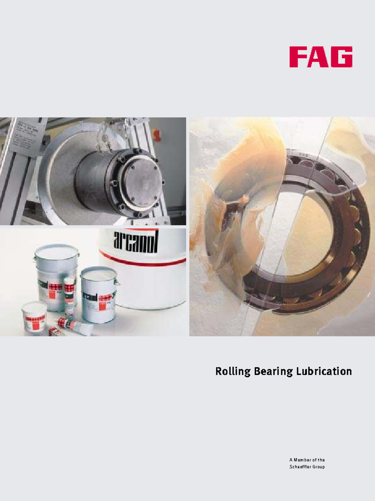 Lubrication of Rolling Bearings: Functions and Conditions (WL 81 EA ...