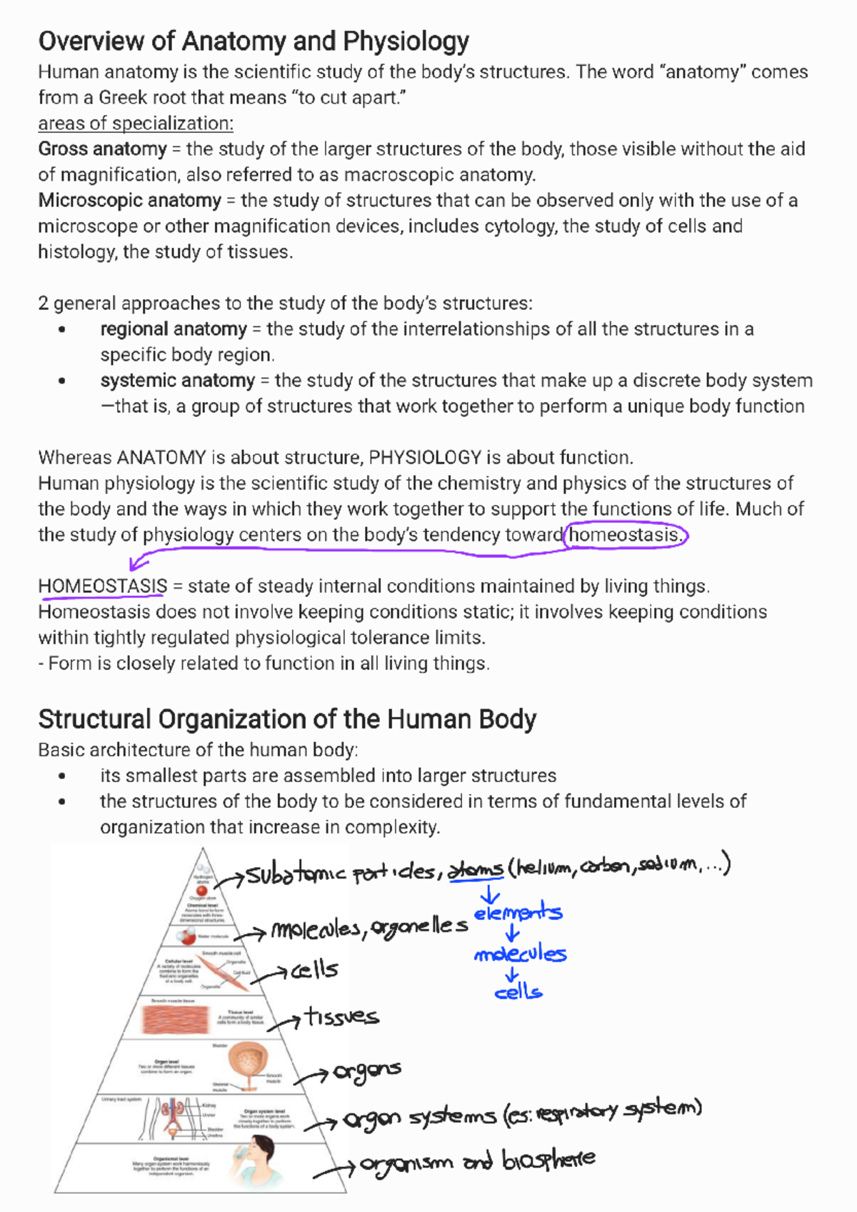 Anatomia prima lezione - Overview of Anatomy and Physiology Human ...