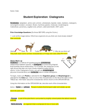 Pond Ecosystem Gizmos Answers - Student Exploration: Pond Ecosystem ...