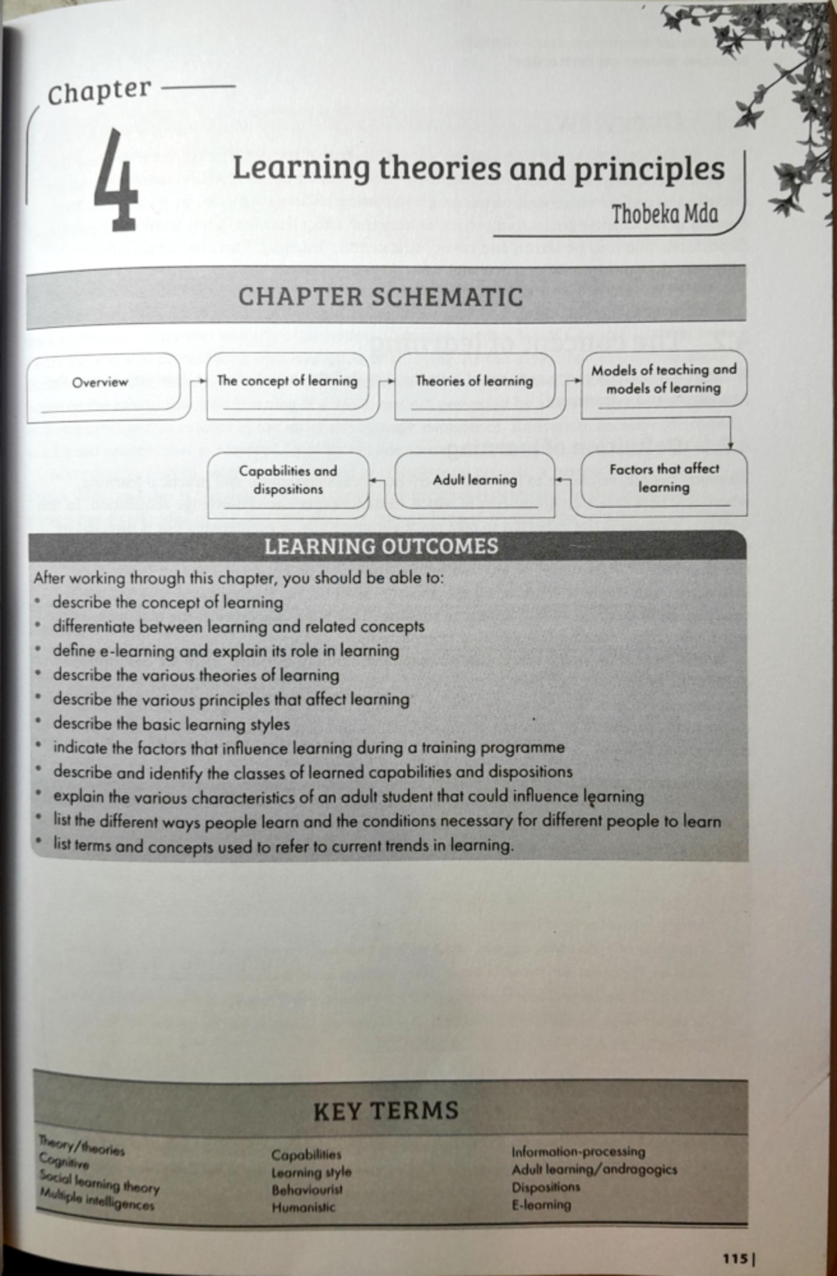 Chapter 4: Learning Theories and Principles (Understanding Adult ...