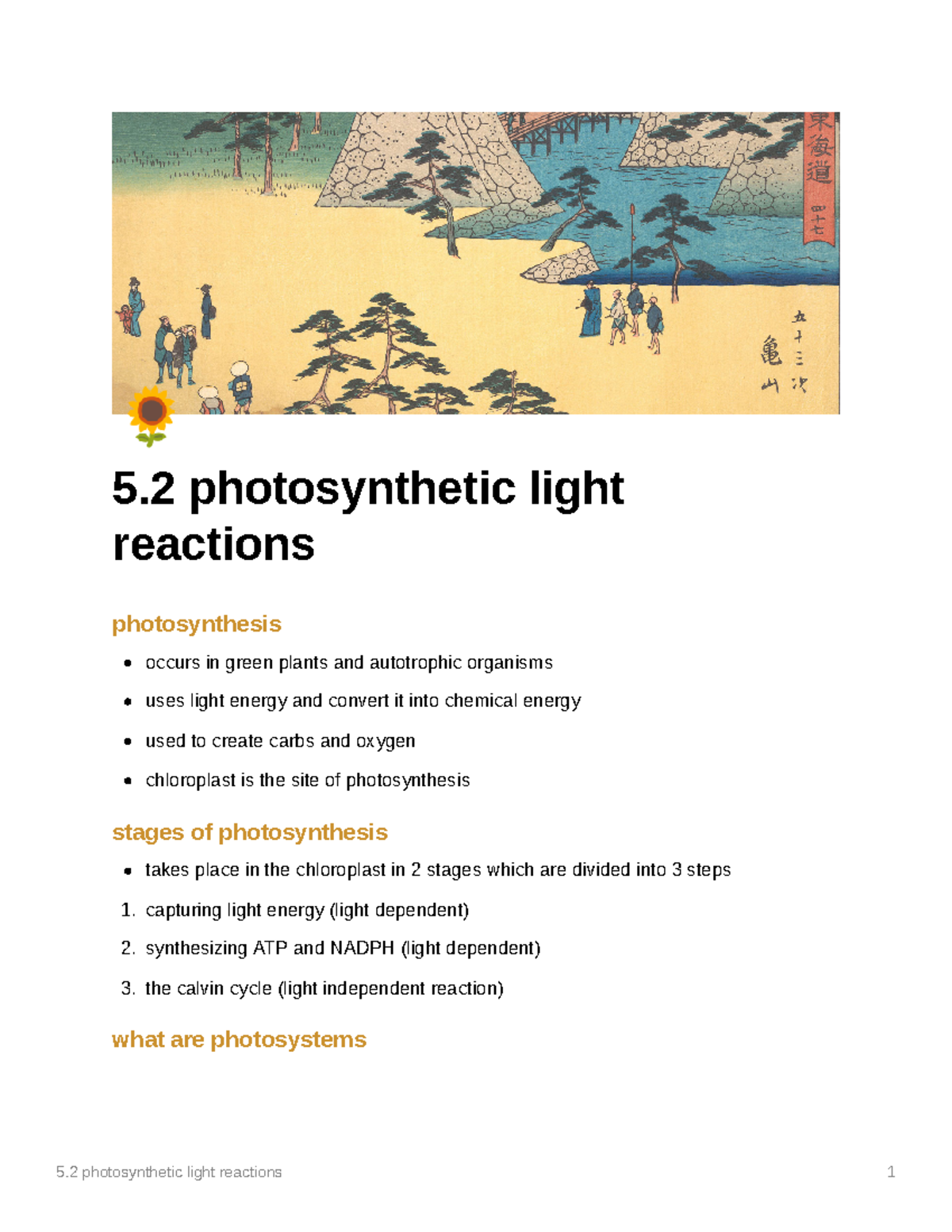 C7e9c994-244d-437b-a38f-9ab6eb29ae53: Photosynthesis Overview and ...