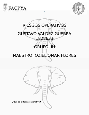 Matriz de clasificación de riesgos en administración de riesgos - DFI ...