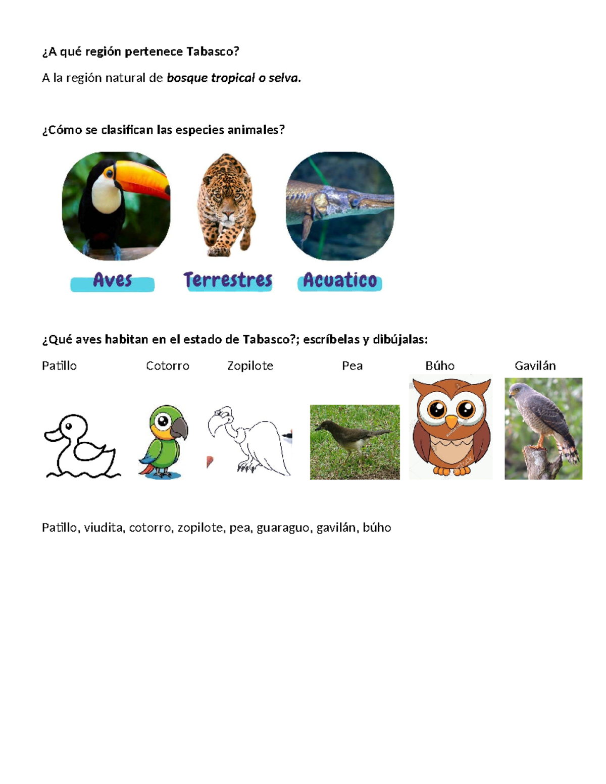 Tabasco: Especies Animales y su Clasificación en Bosque Tropical - Studocu