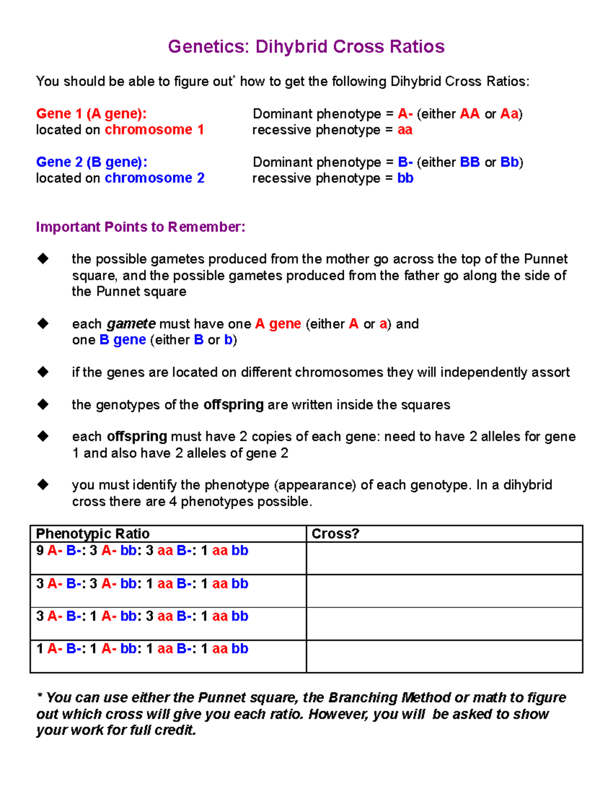 DHXtext - mendelian genetics dihybrid cross worksheet. - Genetics ...
