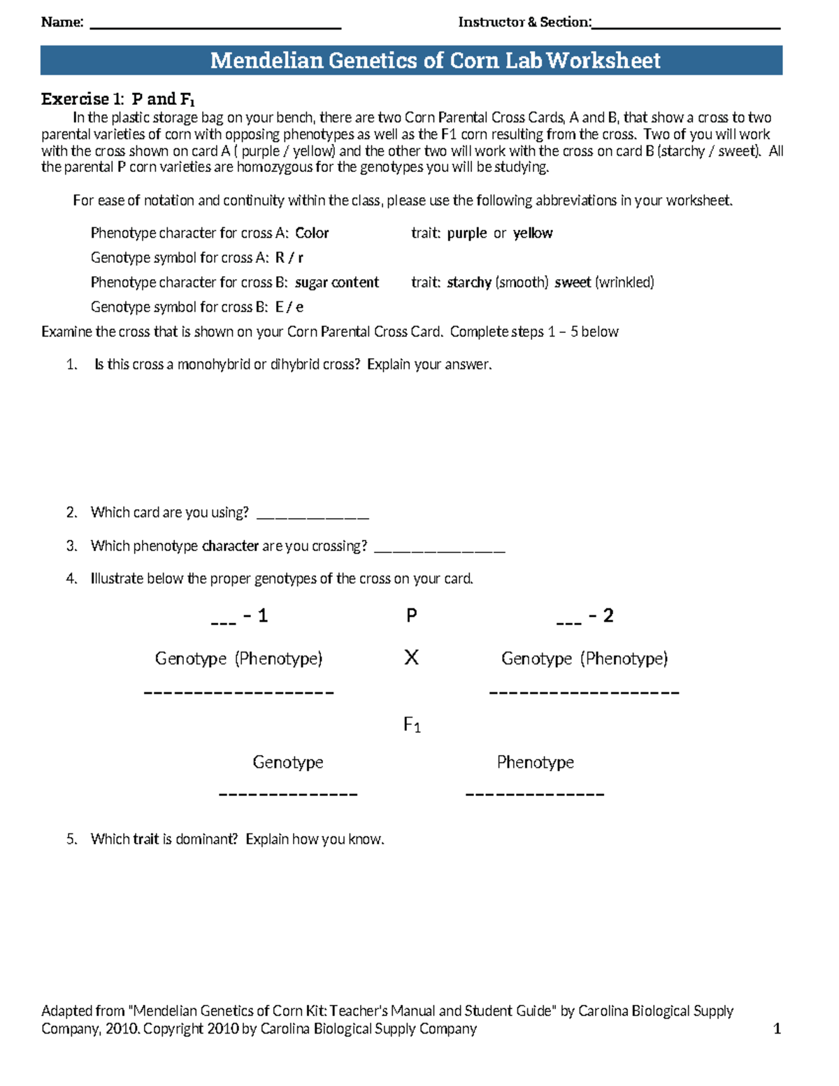 Mendelian Genetics of Corn Lab Worksheet S24: Exercises & Analysis ...