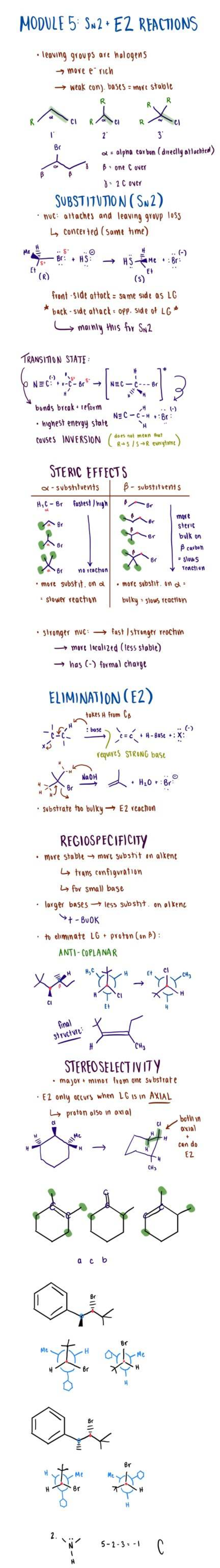 Module 5: SN2 & E2 Reactions Review Notes - Studocu