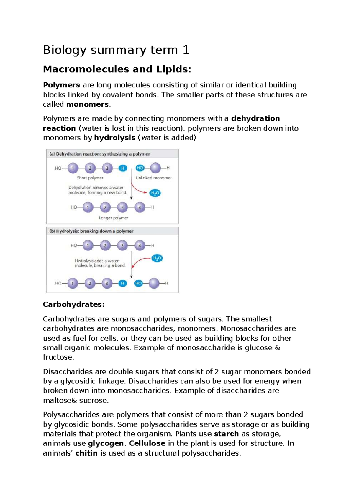 Biology Summary Term 1: Macromolecules, Lipids, and Cell Processes ...