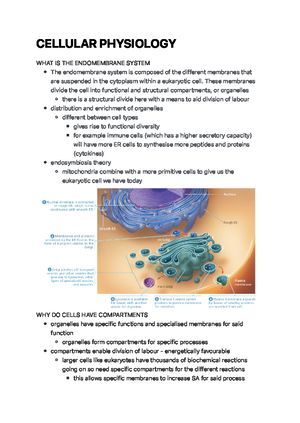 Biological Molecules - CELLULAR PHYSIOLOGY WHAT IS THE ENDOMEMBRANE SYSTEM WHY DO CELLS HAVE ...