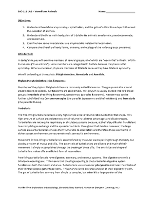 Gizmo Exploration: Food Chain - Student Exploration: Food Chain ...