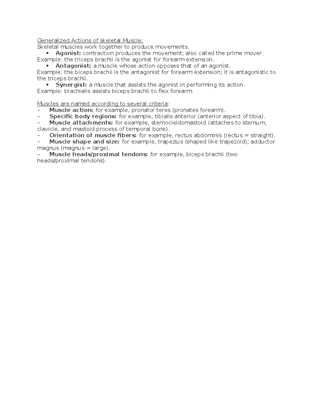 Generalized Actions of Skeletal Muscle: Roles & Naming Criteria - Studocu