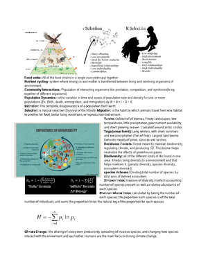 Microbe Mission science olympiad cheatsheet - Microscopes: Bright Field ...