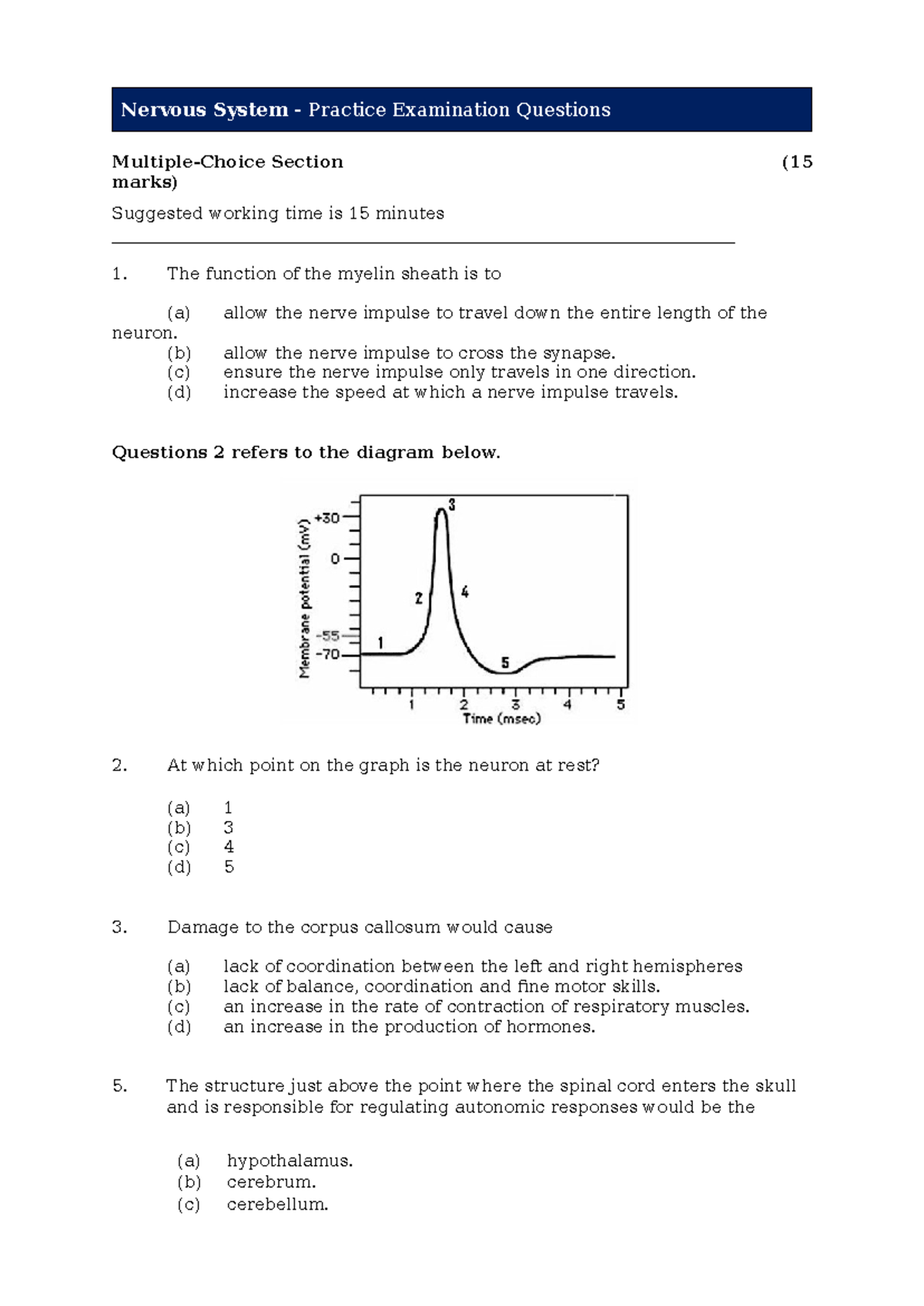 Nervous System - Practice Exam Questions (15 Marks) - Studocu