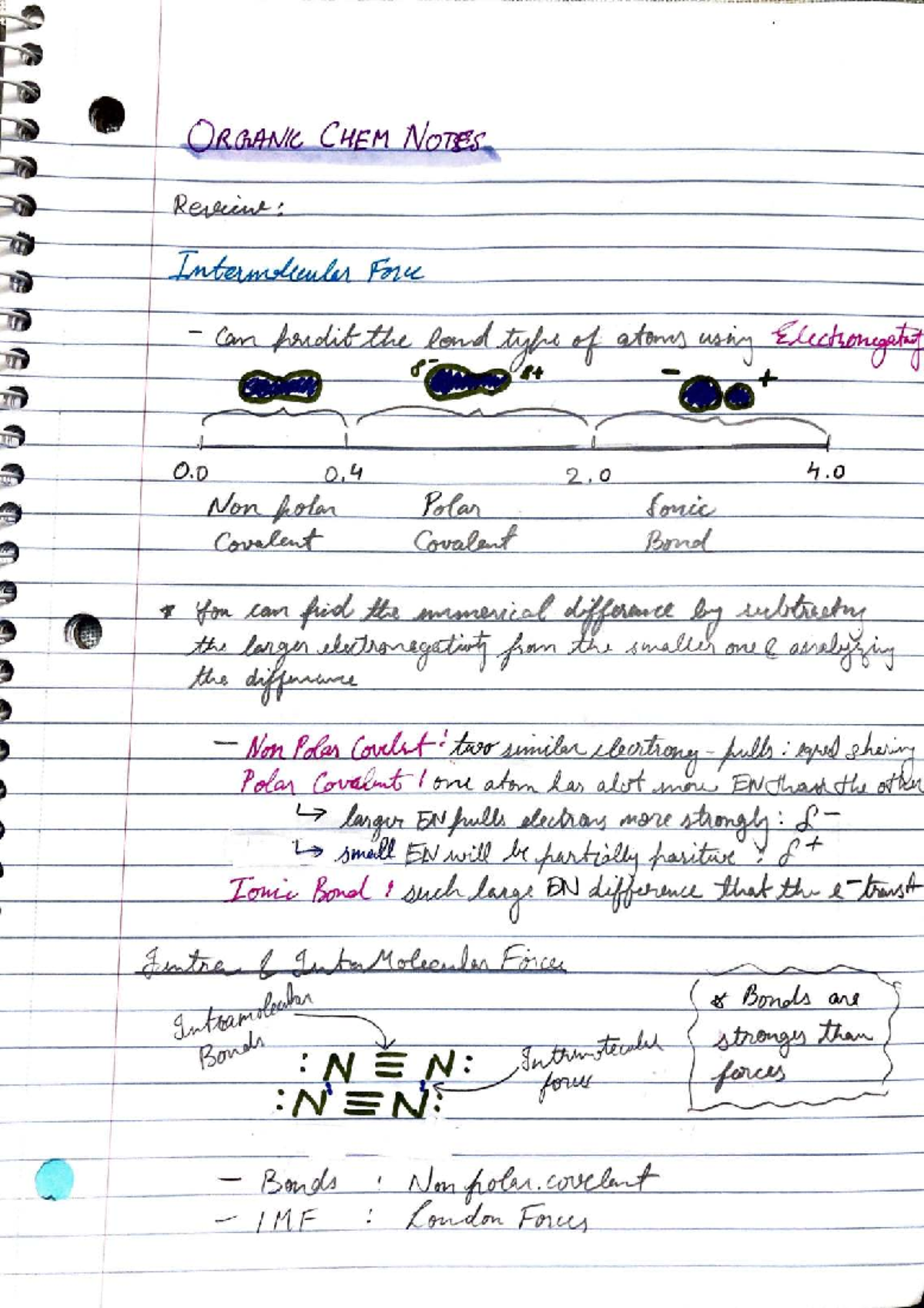 Organic Chem Notes L1-14: Intermolecular Forces & Hydrocarbons - Studocu