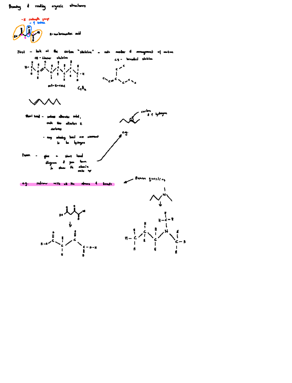 Biology 101: Week 3 - Organic Structures and Functional Groups - Studocu