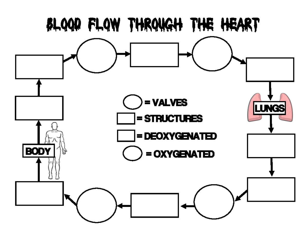 Day 9 - Blood Flow chart - BLOOD FLOW THROUGH THE HEART BODY LUNGS ...