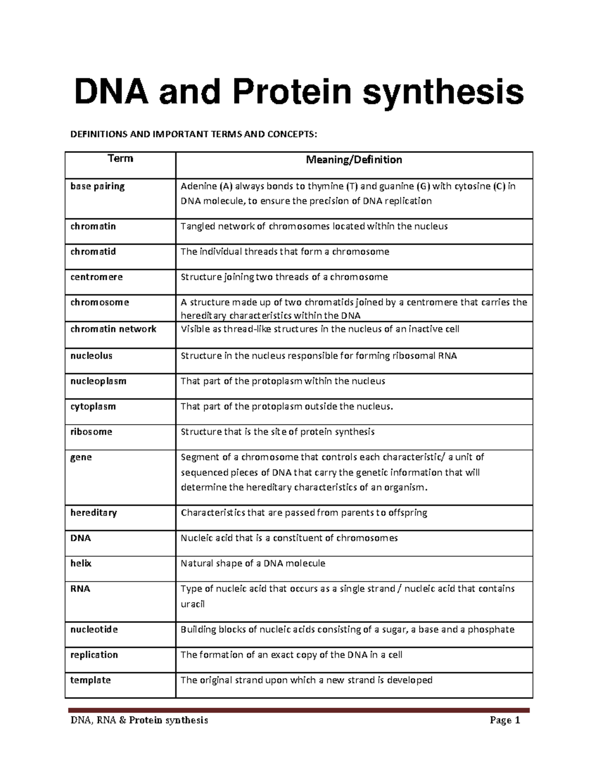 DNA and Protein Synthesis: Key Terms and Concepts Overview - Studocu