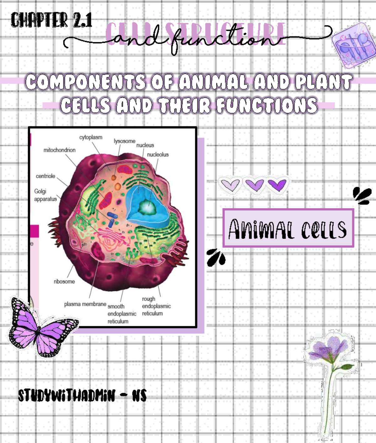 BIO CH2 F4: Study of Animal Cell Structure and Function - Studocu