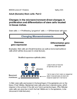 Stem Cell Function and Differentiation: Key Concepts and Applications ...