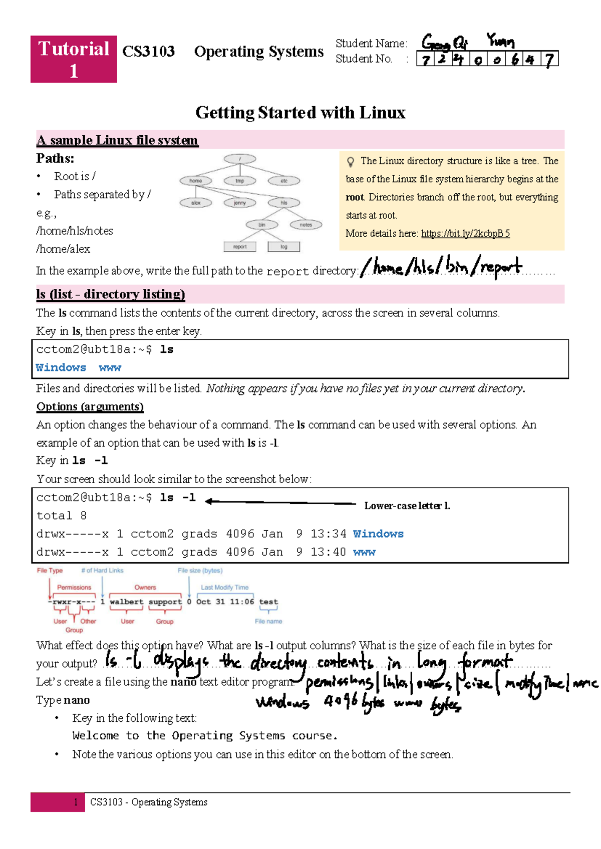 CS3103 Tutorial 1: Introduction to Linux Commands and File Management ...