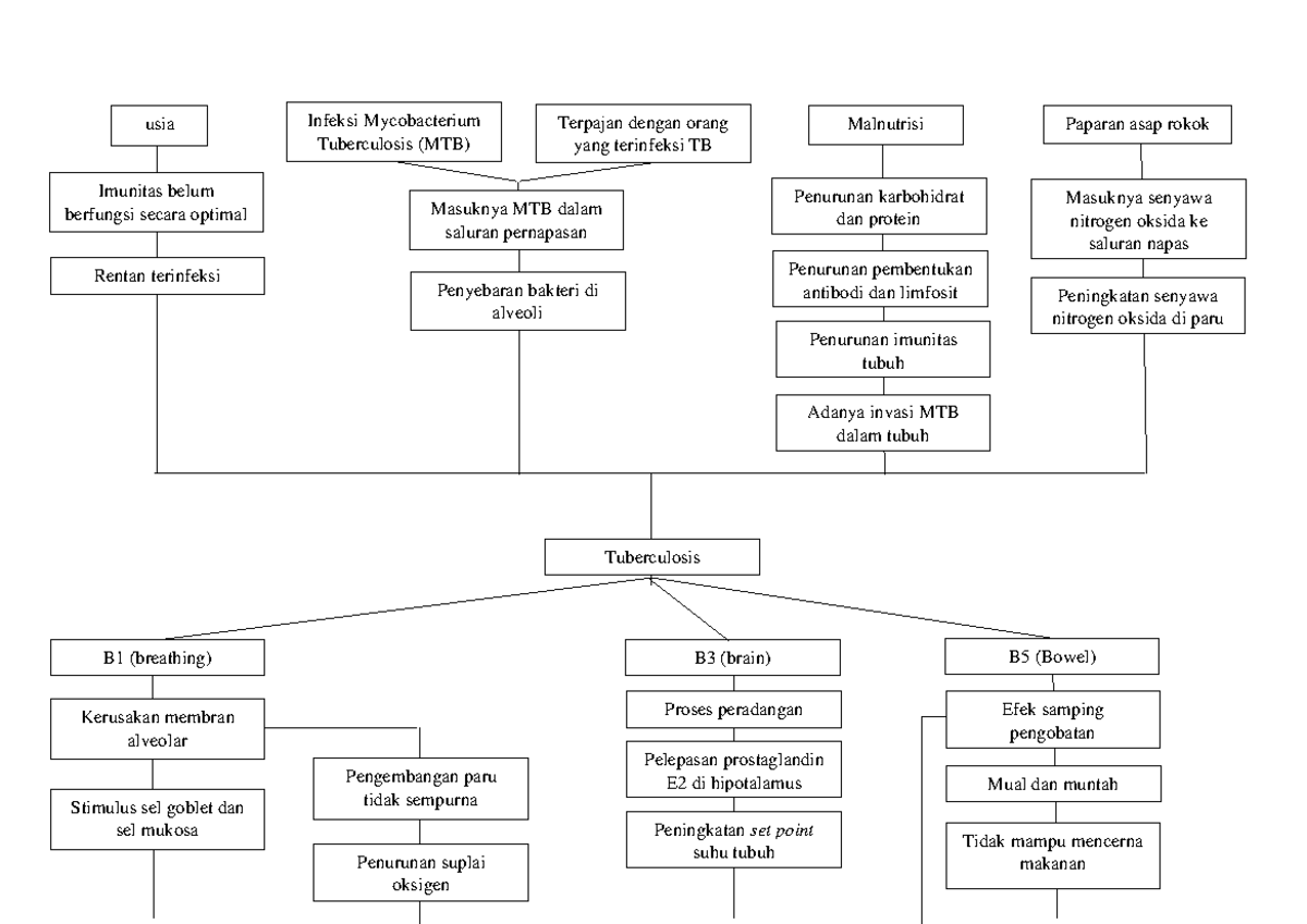 WOC - Infeksi Mycobacterium Tuberculosis (TB) dan Dampaknya - Studocu