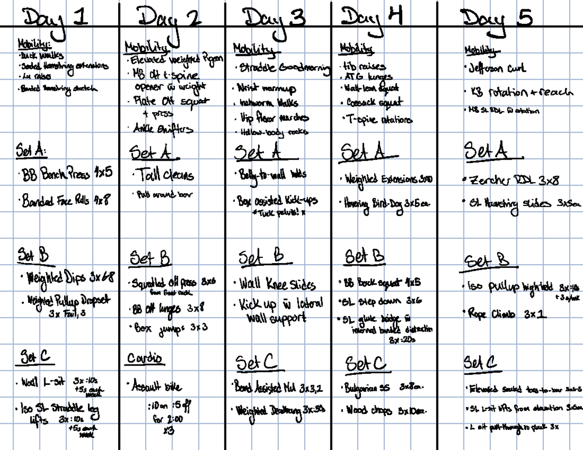 2025.08 Training Plan: Mobility & Strength Workouts - Studocu