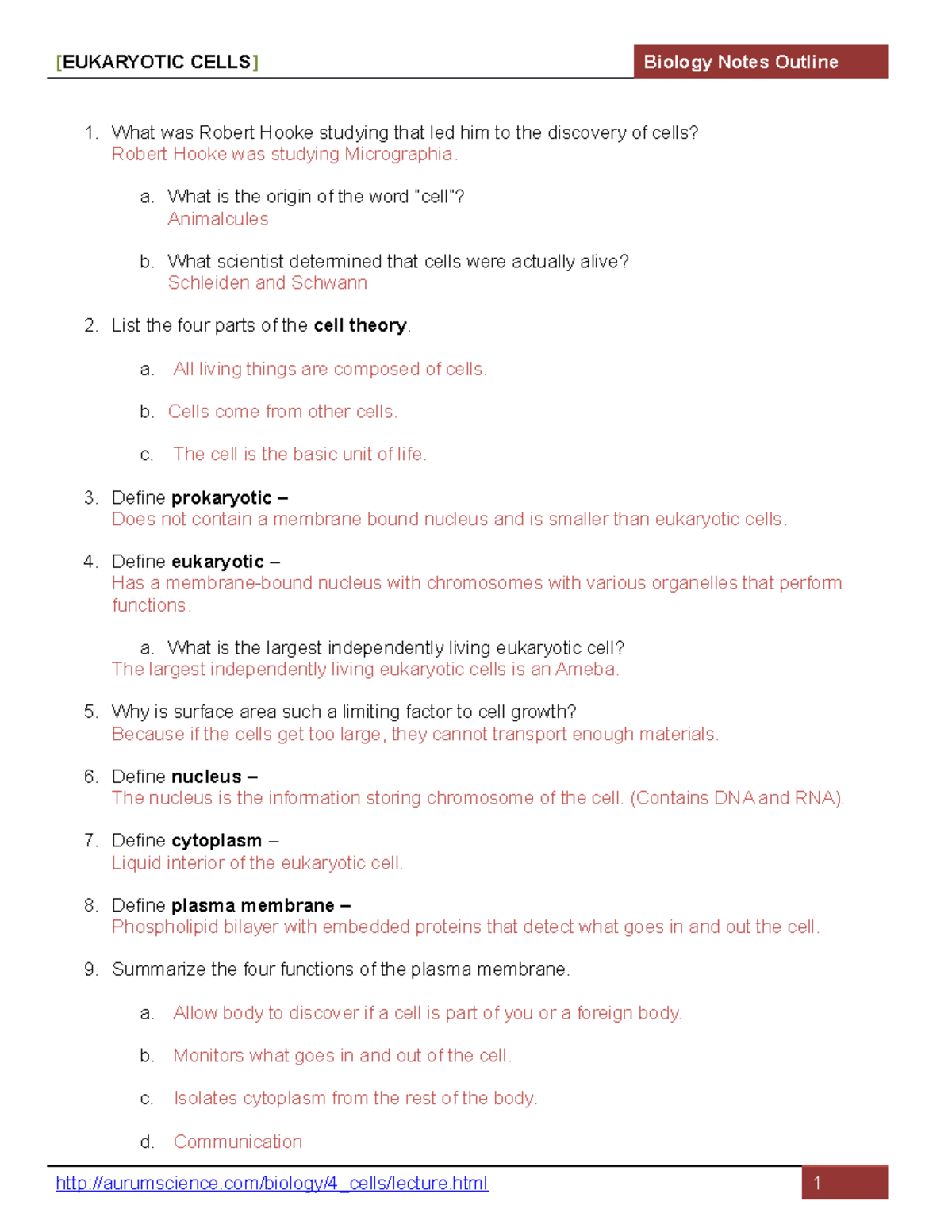 Eukaryotic Cell Structure and Function Notes Outline - Deprecated API ...