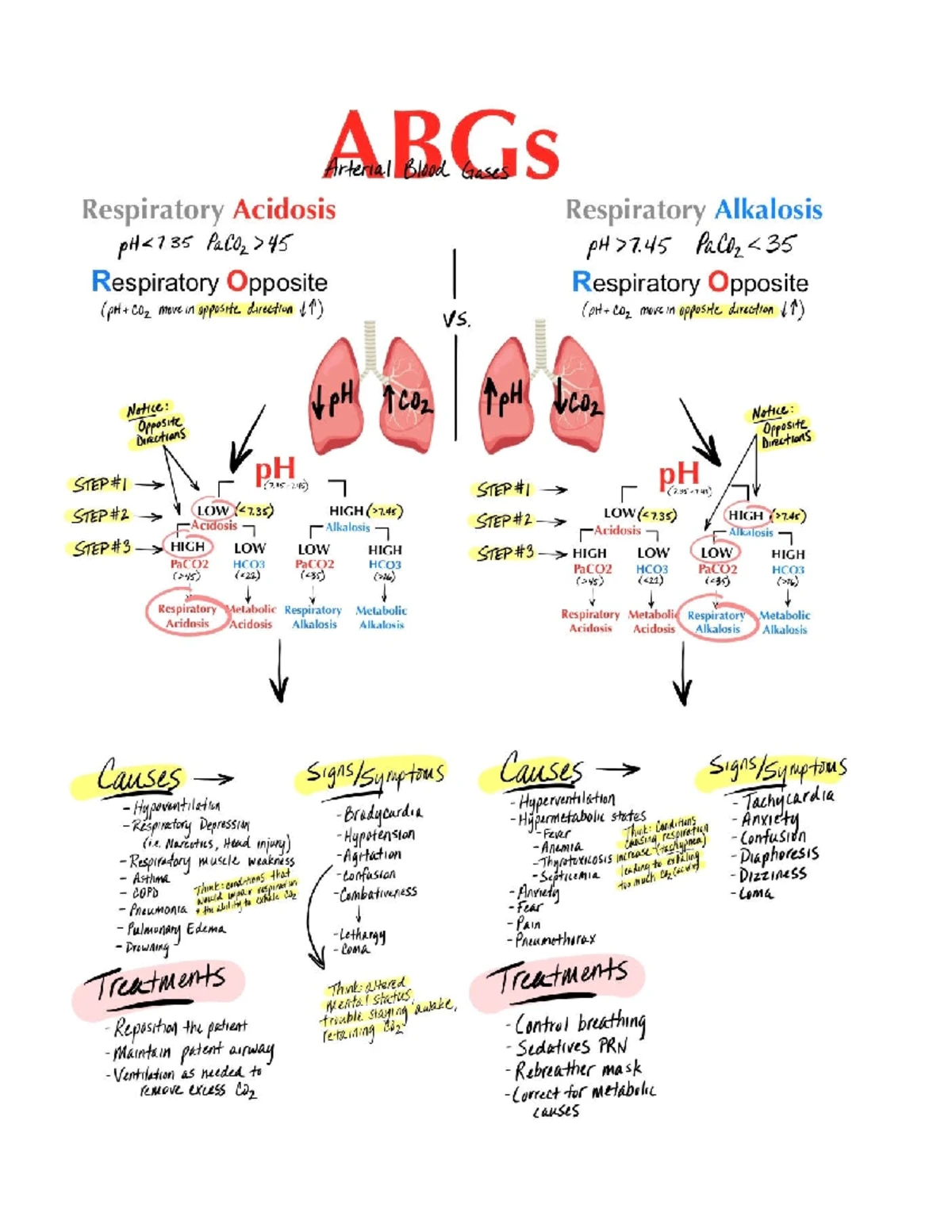 Respiratory System Quizlet: Key Concepts and Nursing Care Insights ...