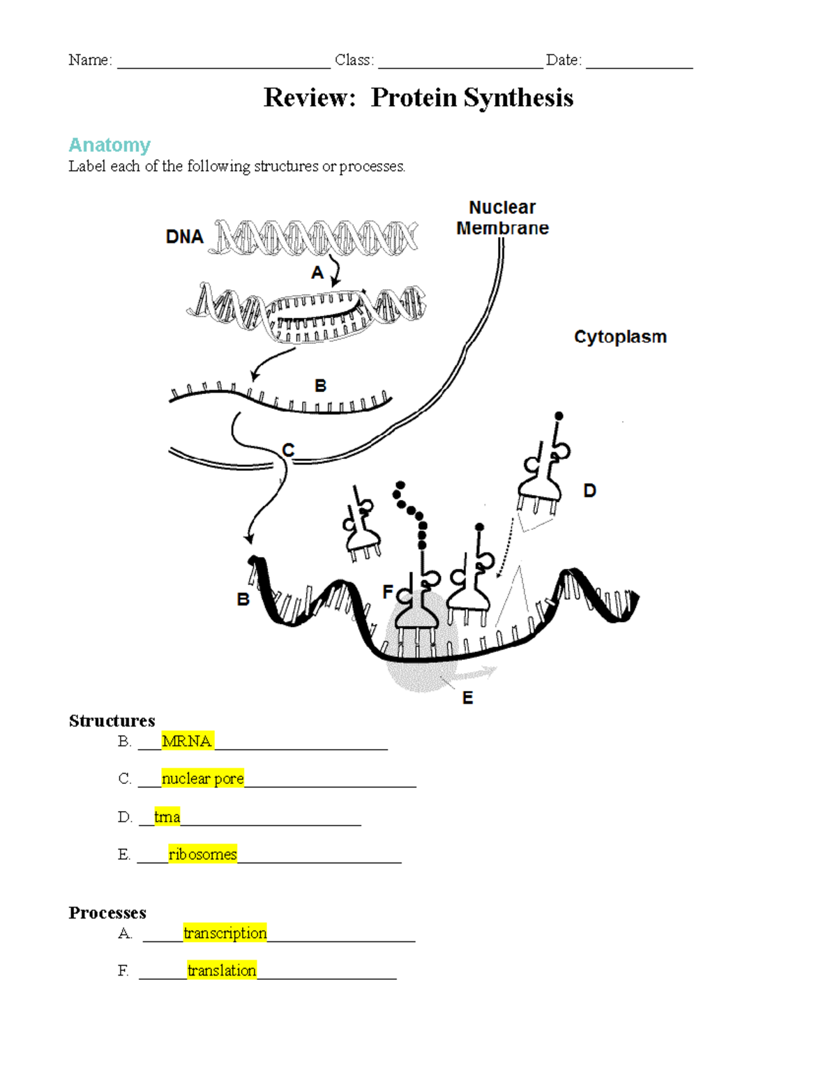 Protein Synthesis Review 17.1 17.6 interact - Name ...