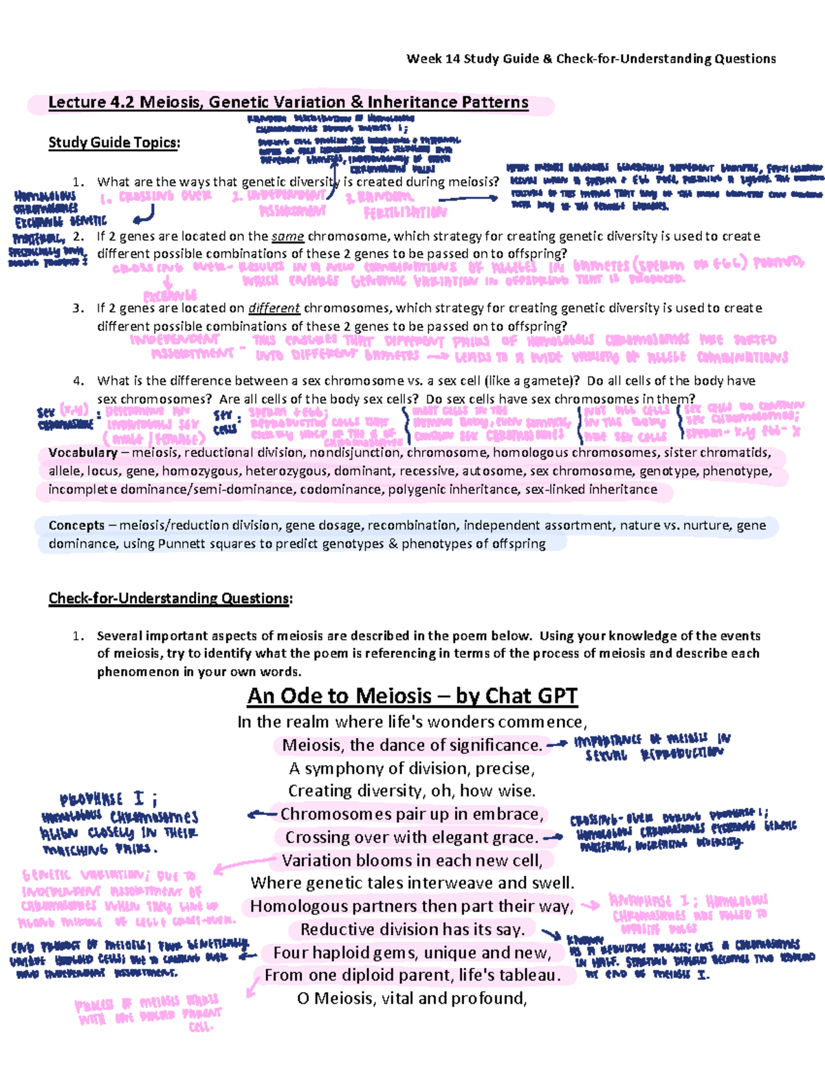 Week 14 Study Guide: Meiosis, Genetic Variation & Inheritance Patterns ...