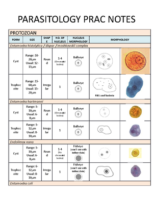 Nematodes - Intestinal and Extraintestinal; Aphasmid and Phasmid ...