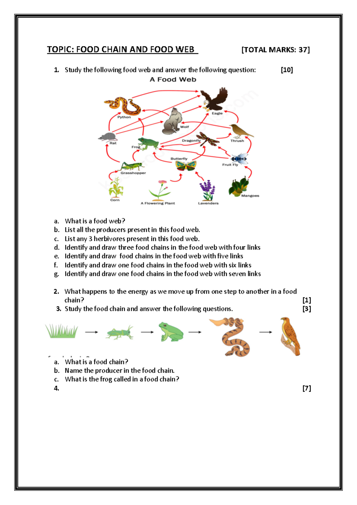 Test - Food Web & Chain Notes (37 Marks) - Studocu