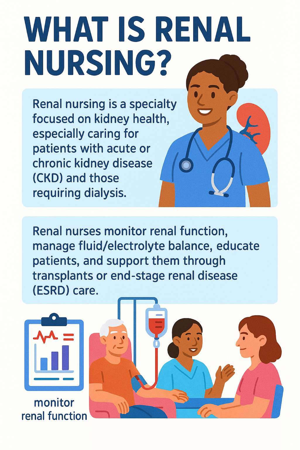 Renal Nursing: Kidney Function & Dialysis Insights - Studocu