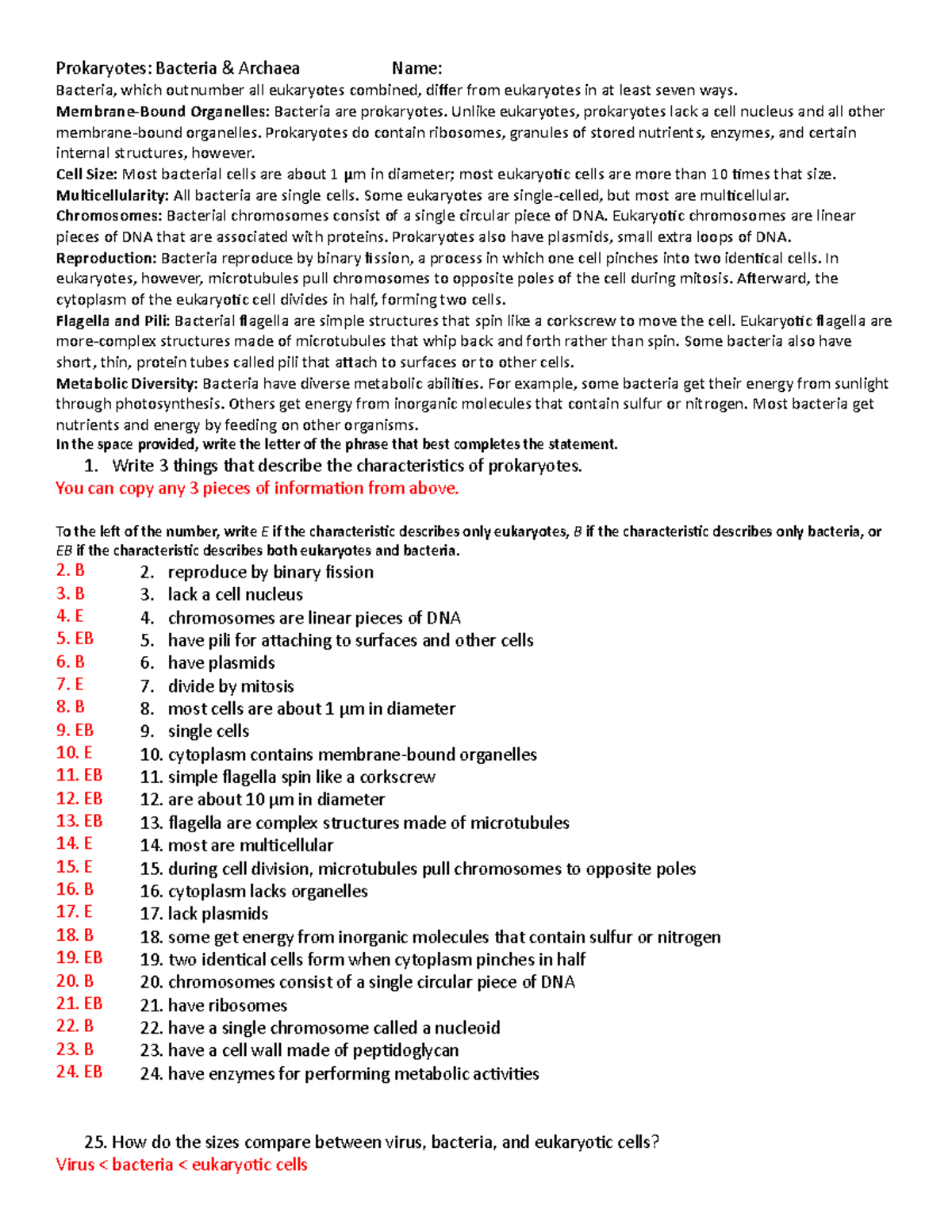 Prokaryotes Exam Answers - Differences Between Bacteria and Archaea ...
