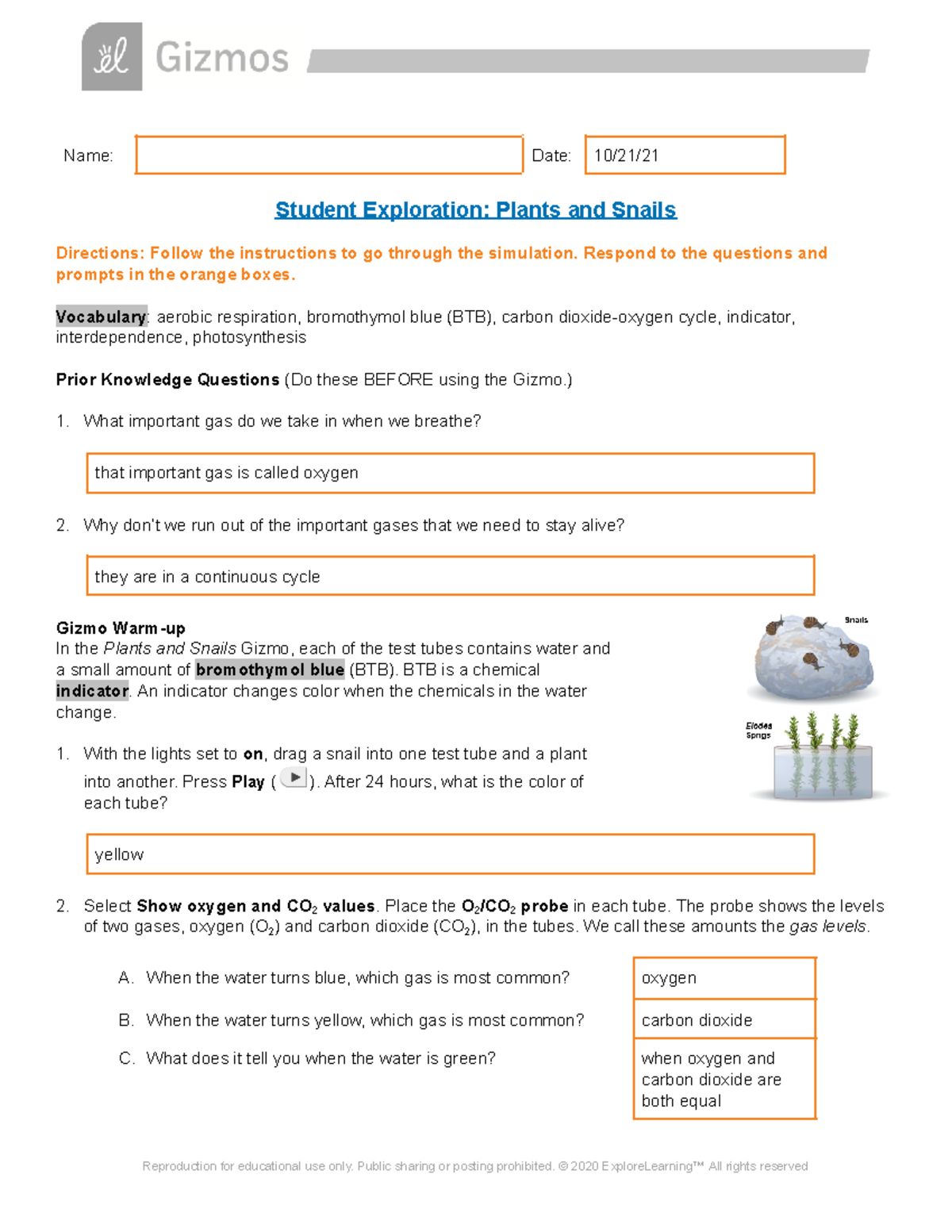 Exploring Interdependence in Plants and Snails: Student Gizmo Activity ...