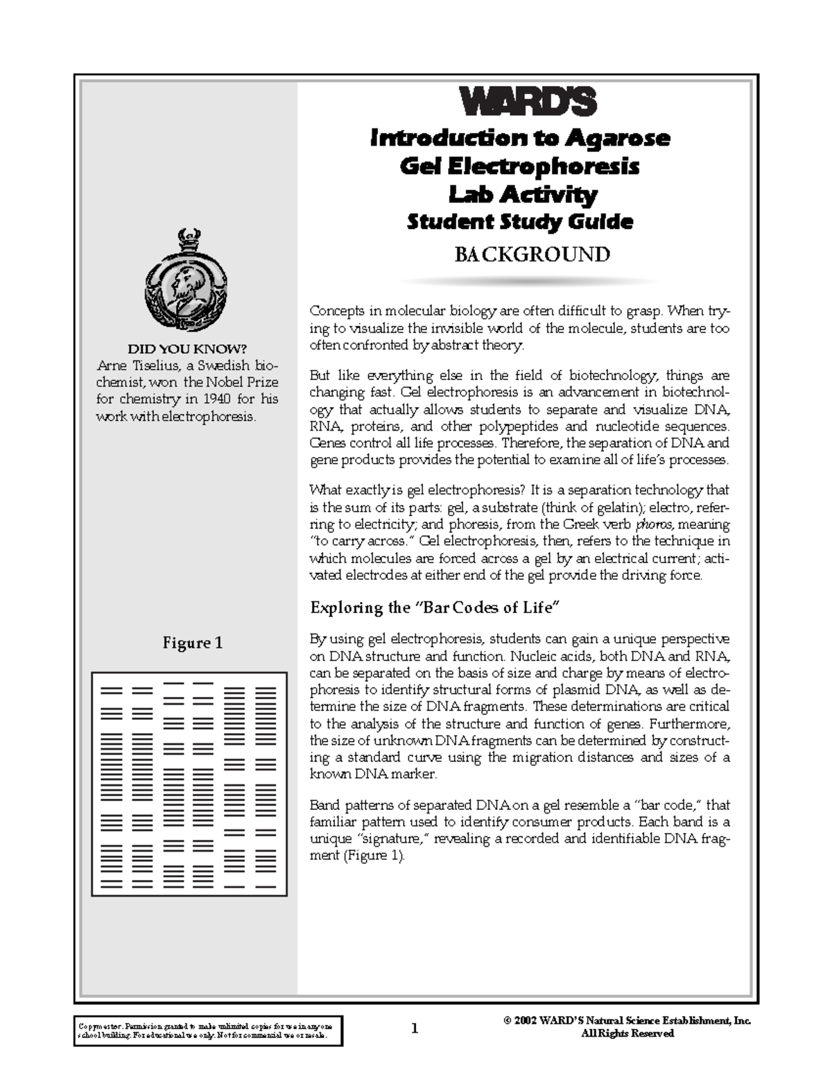 Intro to AG Electrophoresis: Principles and Lab Activity Guide - Studocu
