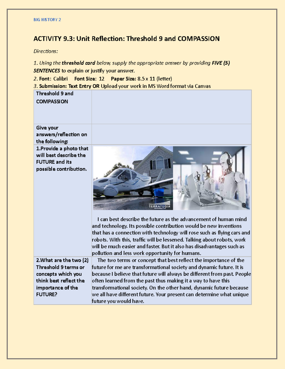 1 Activity 9.3 Unit Reflection Threshold 9 and Compassion - BIG HISTORY ...